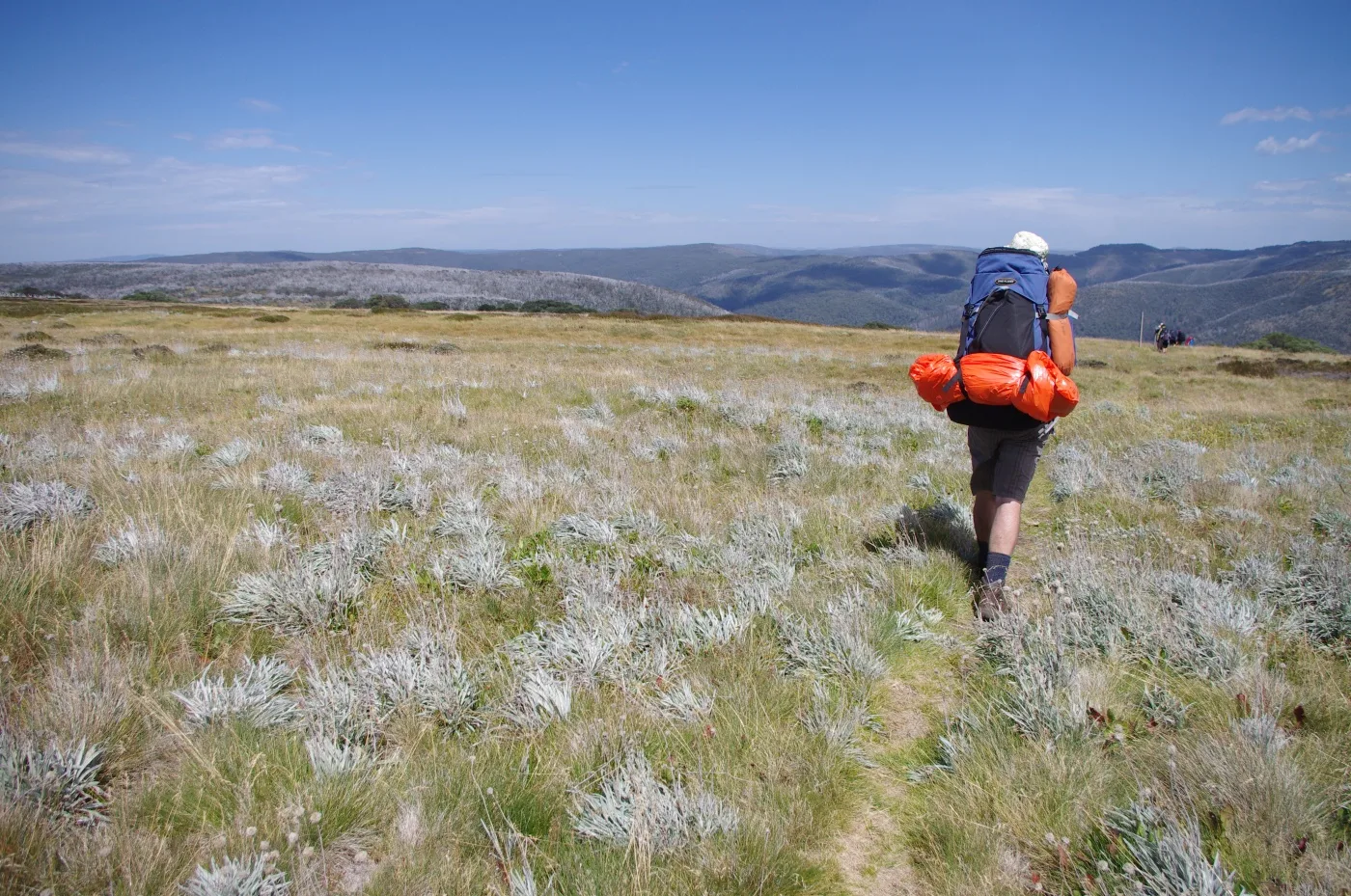 Australian Alps walking tracks - Australia Pathways